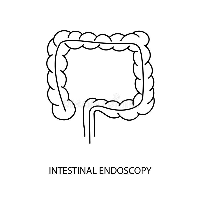 Intestinal Endoscopy Illustration. Equipment for Endoscopy Icon Line in ...