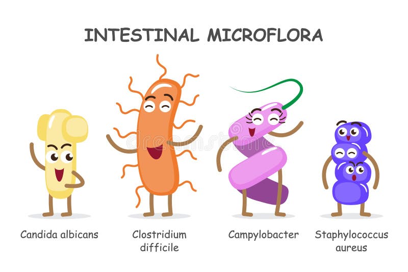 Intestinal Microflora . Collection of Cute Medical Microbiome Cartoon ...