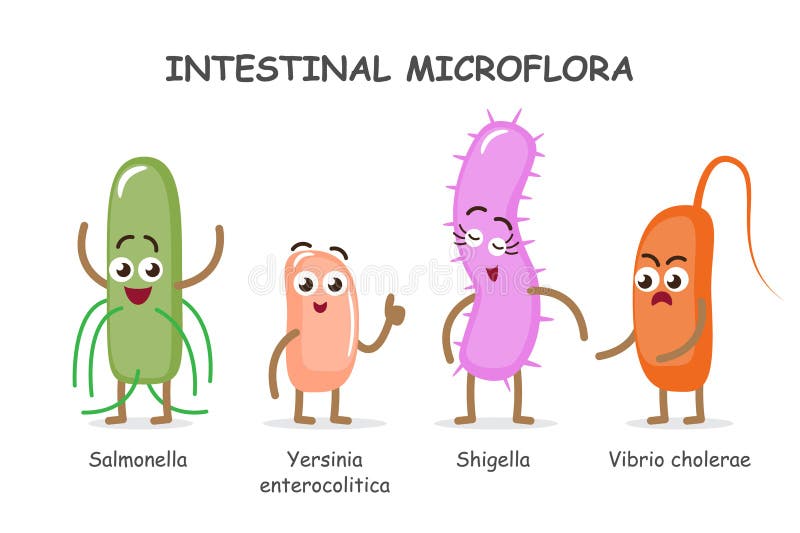 Intestinal Microflora . Collection of Cute Medical Microbiome Cartoon ...