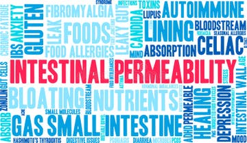 Intestinal Permeability Stock Illustrations – 200 Intestinal ...