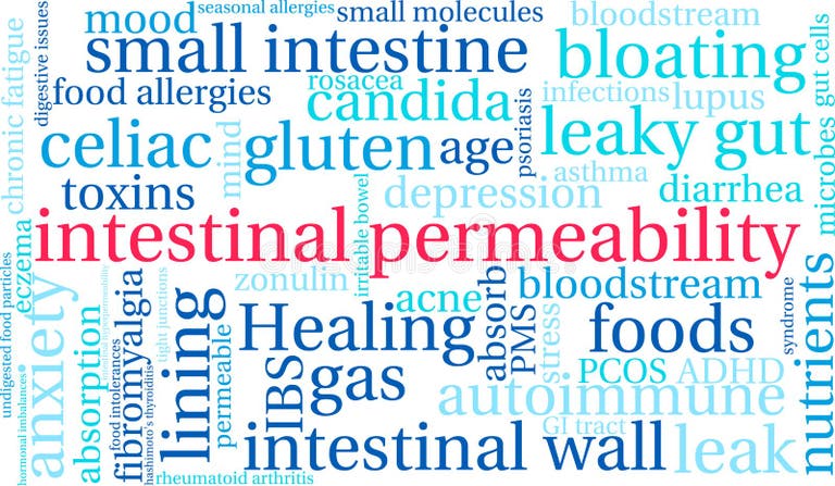 Intestinal Permeability Stock Illustrations – 176 Intestinal ...
