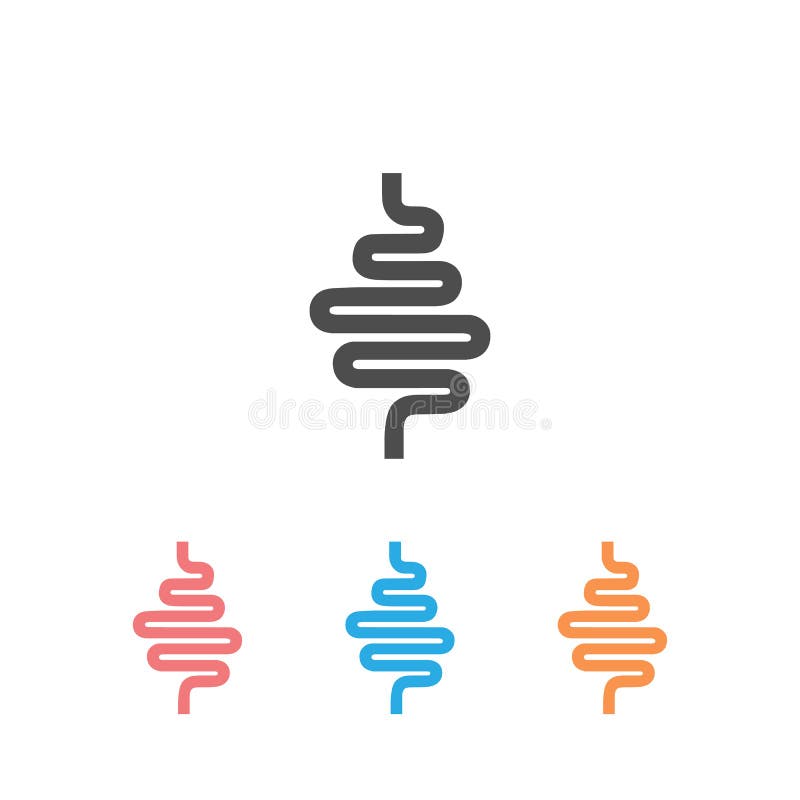 Intestinal Tract Set Icon on White. Vector Isolated Stock Vector ...