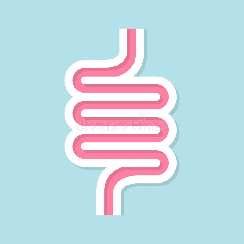 Intestinal vector design stock vector. Illustration of application ...
