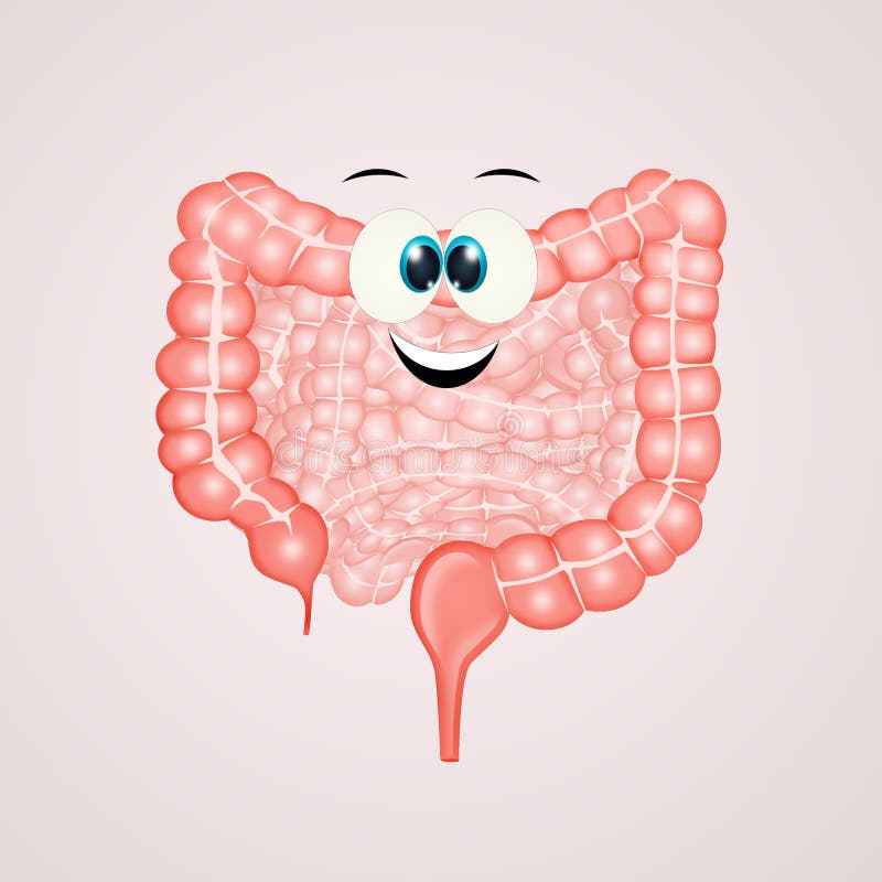 Intestine Cartoon with Funny Face Stock Illustration - Illustration of ...