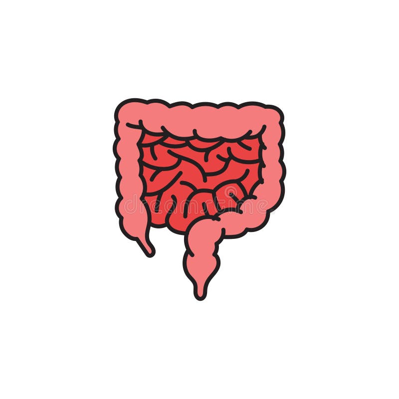 Intestine Colored Vector Icon on White Background Stock Illustration ...