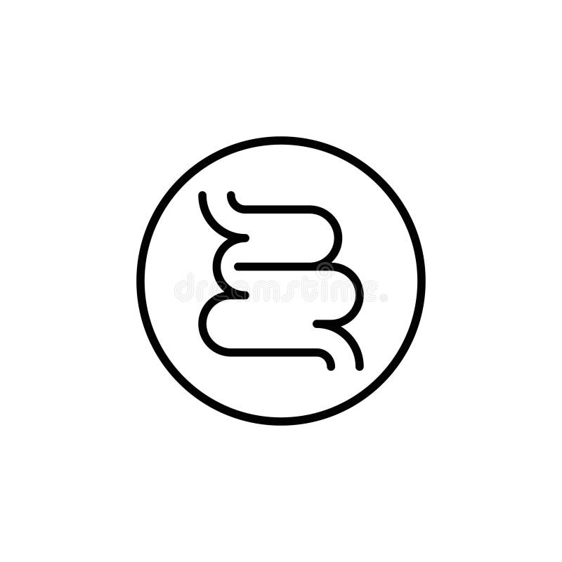 Intestine Icon Thin Vector Set Stock Vector - Illustration of outline ...
