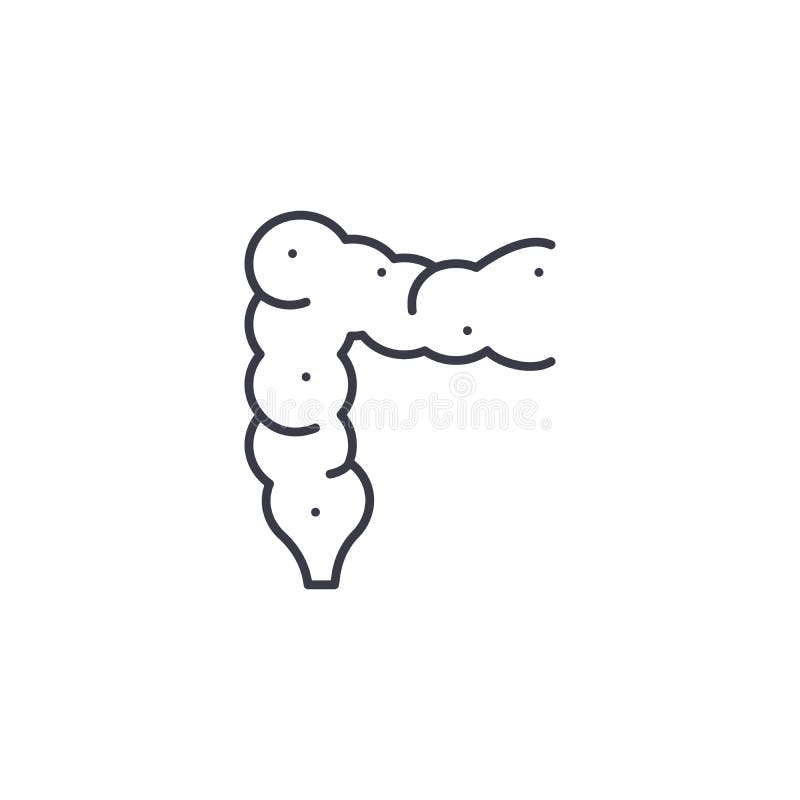 Intestine Linear Icon Concept. Intestine Line Vector Sign, Symbol ...