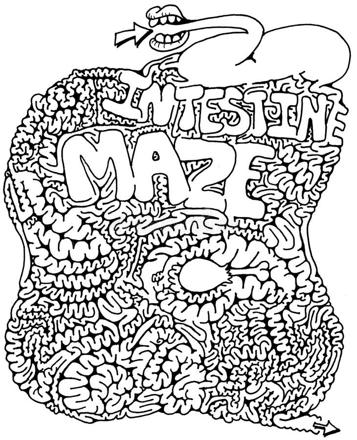 Intestine Maze stock illustration. Illustration of food - 970376