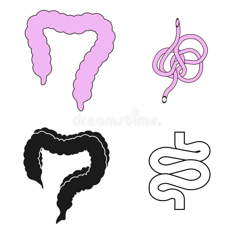 Intestine Simple Icon Vector Stock Illustration - Illustration of colon ...