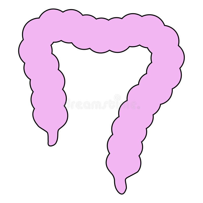 Intestine Simple Icon Vector Stock Illustration - Illustration of colon ...