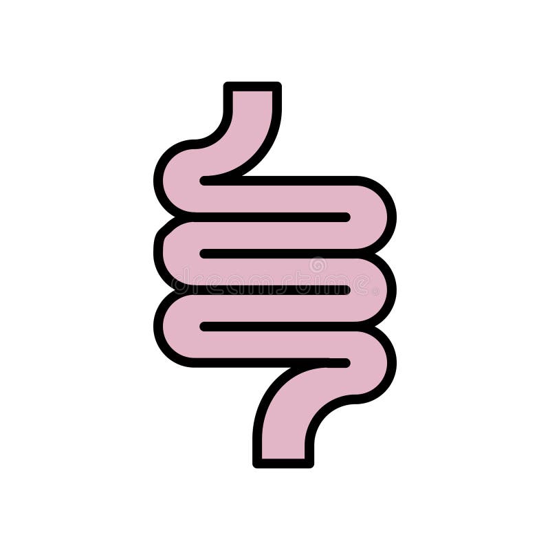 Small Intestine Isolated Stock Illustrations – 2,738 Small Intestine ...
