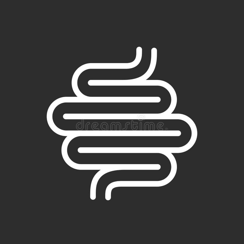 Large intestine line icon stock vector. Illustration of colonoscopy ...