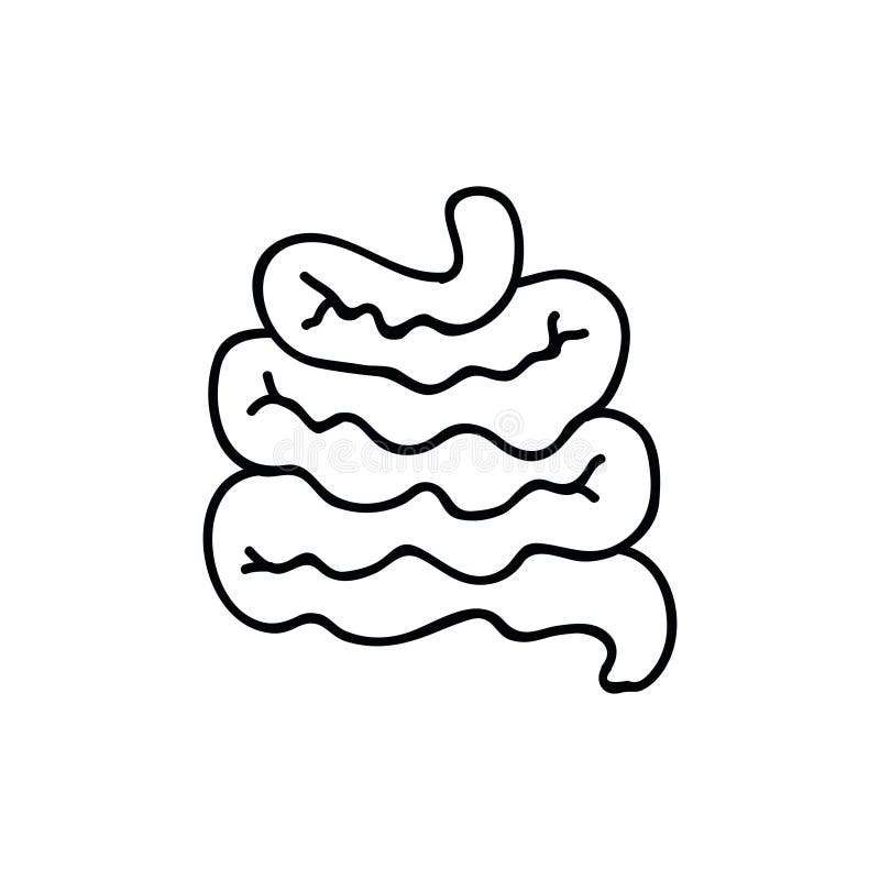 Intestines Doodle Icon, Vector Illustration Stock Illustration ...