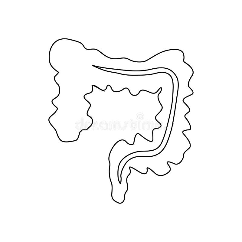 Intestines Icon, Outline Style Stock Vector - Illustration of jejunum ...