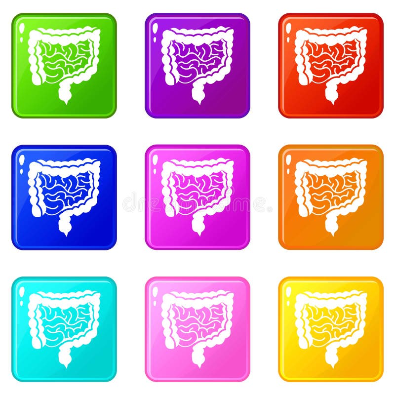 Intestines set 9 stock vector. Illustration of bowel - 96575048
