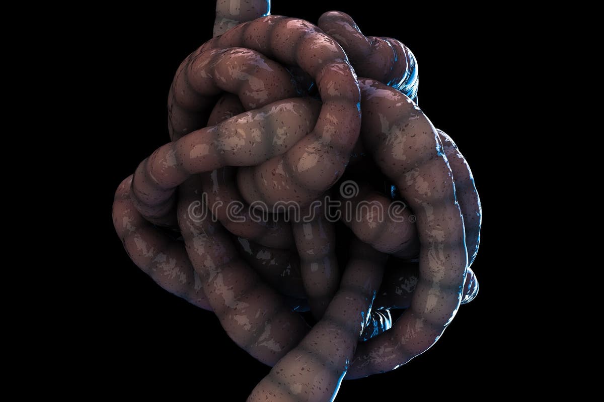 Intestines Tangled Stock Illustrations – 1 Intestines Tangled Stock ...