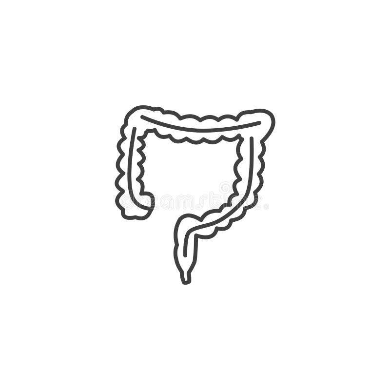Healthy Intestines, Colon Line Icon. Isolated On White Background Stock ...