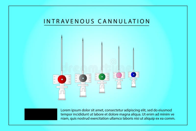 Intravenous Cannula or Branula Vector Icon Stock Illustration ...