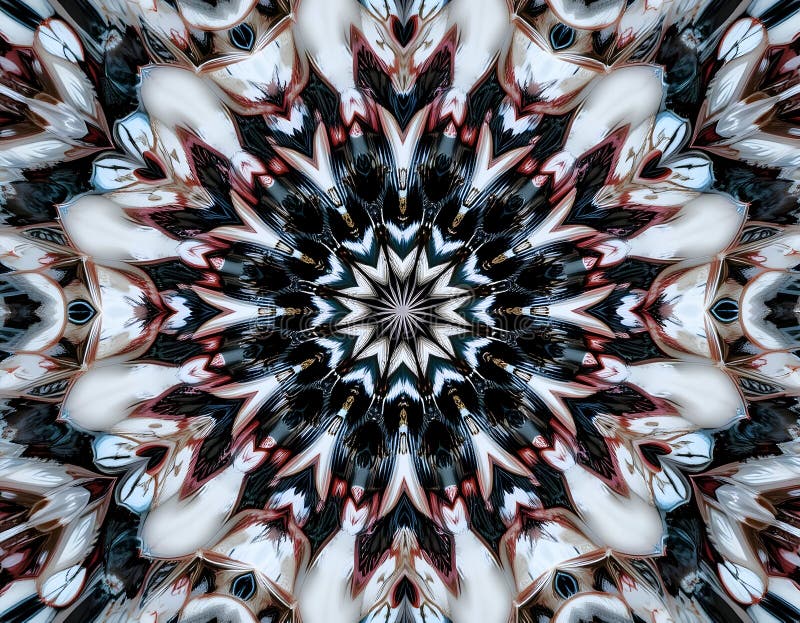 Black White Drawing Perfect Radial Flower Stock Photos - Free & Royalty ...