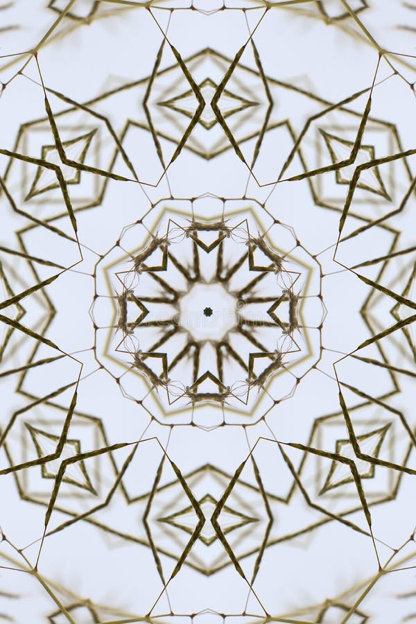 Intricate Circular Plant Stems Pattern on White Background Stock Photo ...