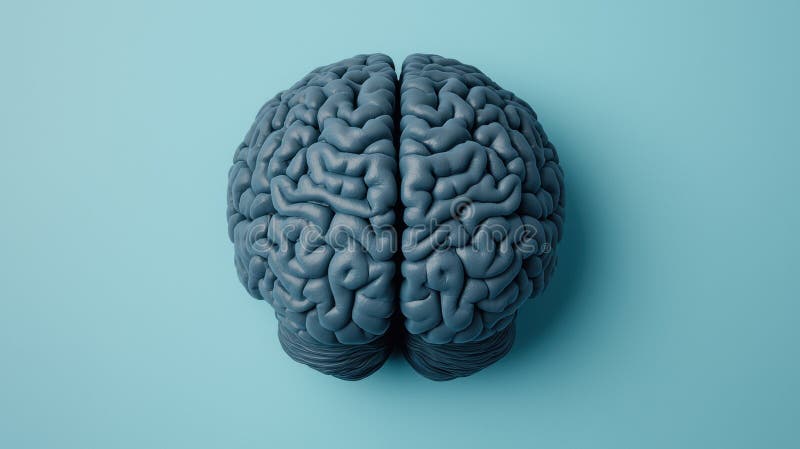 Intricate 3D Model of the Human Brain - a Deep Dive into Neuroscience ...