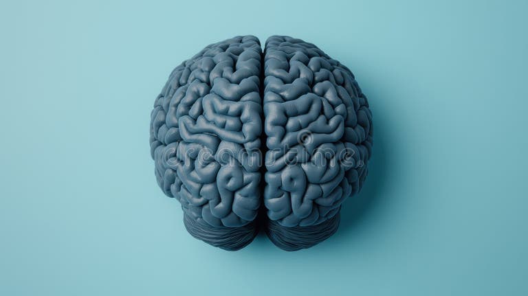 Intricate 3D Model of the Human Brain - a Deep Dive into Neuroscience ...