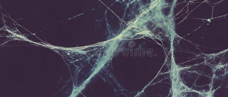 Intricate Details of Old Spider Web Showcasing Decay Against a Dark ...