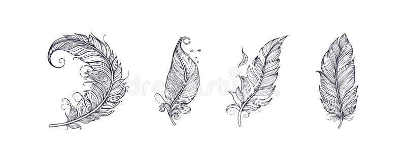 Intricate Feather Illustrations in Abstract Line Art. Vector Icon ...