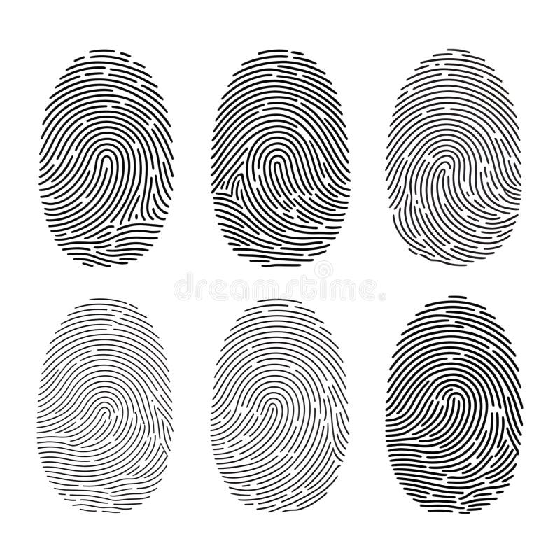 Detailed Fingerprint Patterns Showcasing Identity, Security, and ...