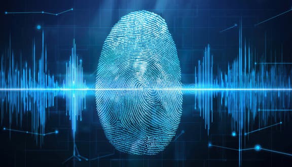 Intricate Fingerprint Placed on a High-tech Digital Background with ...
