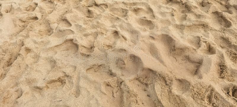 Sandy Beach Footprints Texture Stock Photo - Image of leave, pathway ...