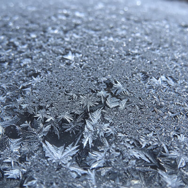 Intricate Frost Crystals Cover a Flat Surface, Forming Delicate and ...