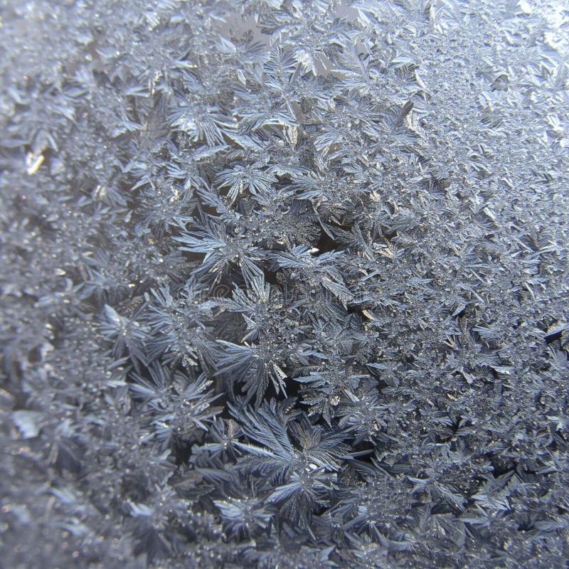 Intricate Frost Patterns Cover a Flat Surface, Resembling Delicate Fern ...