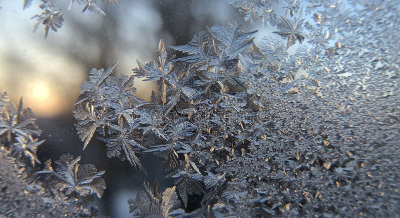 Intricate Frost Patterns on a Glass Surface Form Star-like and Leaf ...