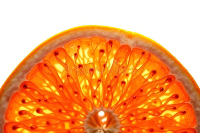 Intricate Grapefruit Cell Structure Stock Illustration - Illustration ...