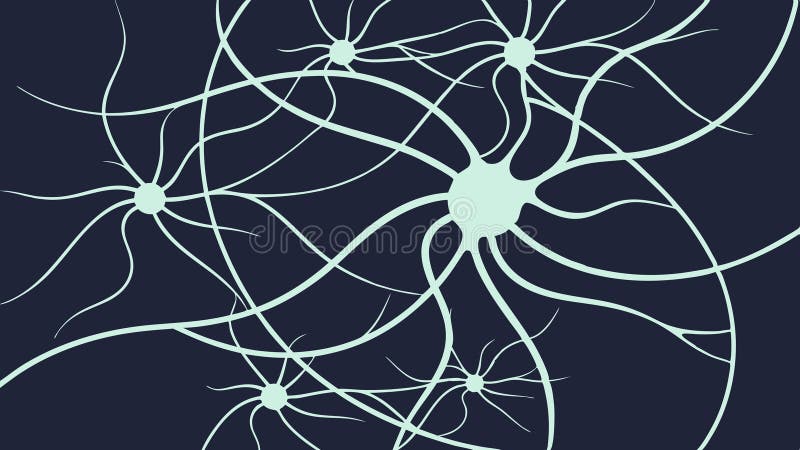 Interconnected Neurons, Complex Brain and Thought, Vector Design ...