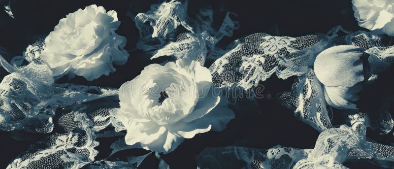 Intricate Lace Design Overlay Featuring Delicate Floral Elements on a ...