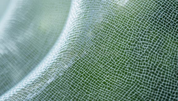 Delicate Netting Close-up with Soft Green Background for Textured ...