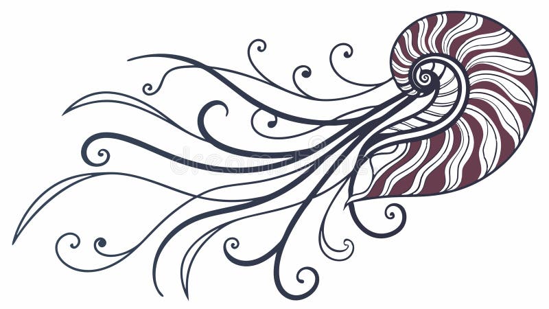 Nautilus Shell Design Stock Illustrations – 11,484 Nautilus Shell ...