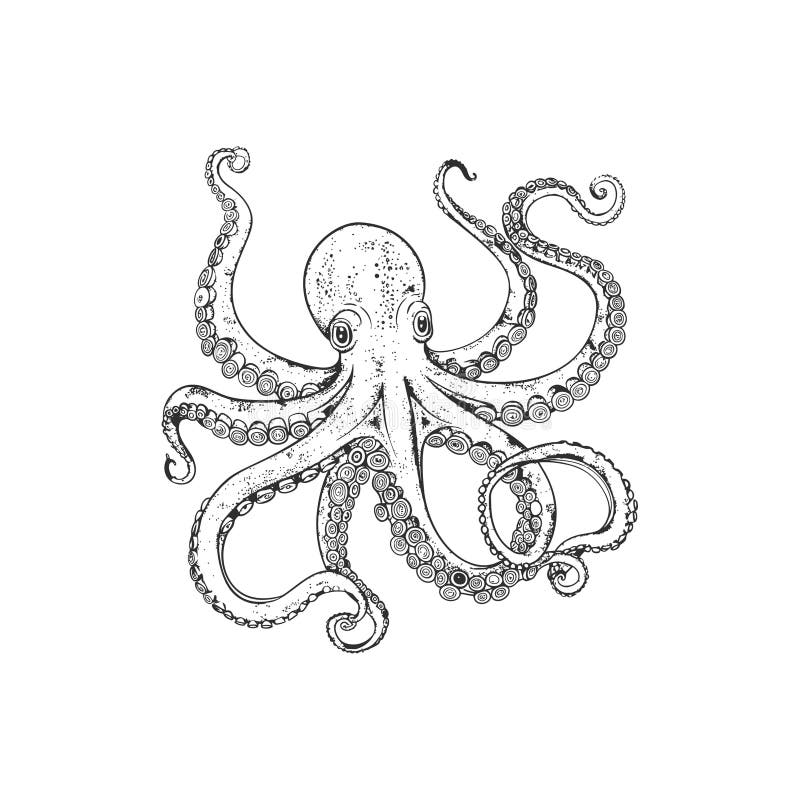Intricate Octopus Illustration in Detailed Line Art. Vector Icon Design ...