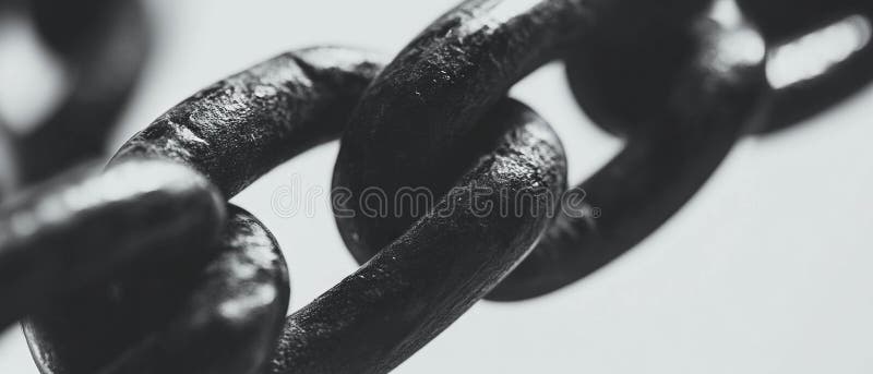 Intricate Pattern of Black Ink Lines on a Soft White Background ...