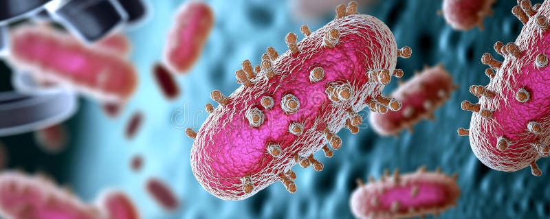 Intricate Patterns of Bacteria Colonies are Vividly Displayed ...