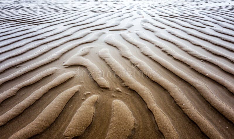 Intricate Patterns Formed by Tidal Movements Create a Stunning Textured ...