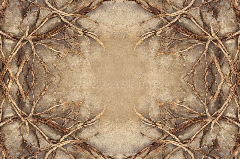 Intricate Root System Frame on Weathered Stone Stock Image - Image of ...
