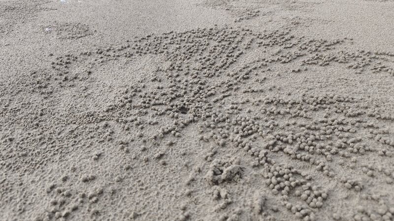Intricate Sand Patterns Formed by Tiny Crabs Creating Small Pellets on ...
