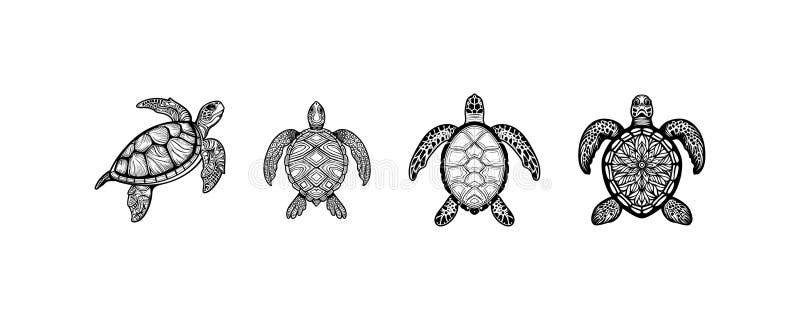 Intricate Sea Turtle Illustrations with Detailed Shell Patterns. Vector ...