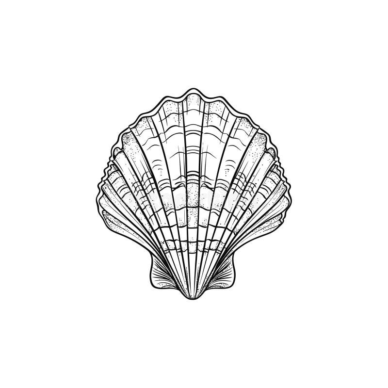 Intricate Seashell Illustration in Black and White. Vector Icon Design ...