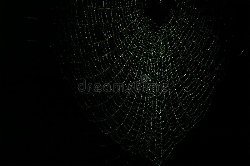 Intricate Spider Web stock illustration. Illustration of cobweb - 231236445 Intricate Spider Web stock illustration. Illustration of cobweb - 231236445