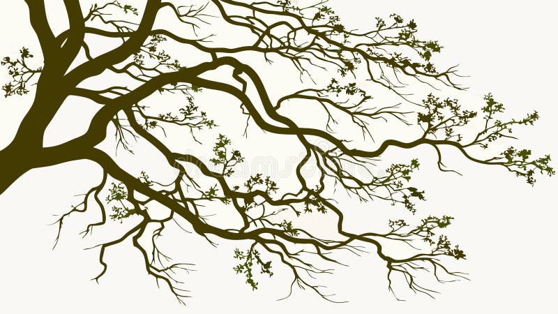 Intricate Tree Branches, Natural Network, Organic Pattern, Vector ...