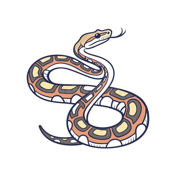 Detailed Angolan Python Realistic Vector Art Stock Illustration ...